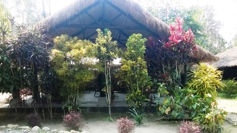 Nameri National Park – Kaziranga National Park and Tiger Reserve ~ Tour ...