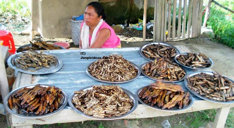 Manipur – Kaziranga National Park and Tiger Reserve ~ Tour Packages ...