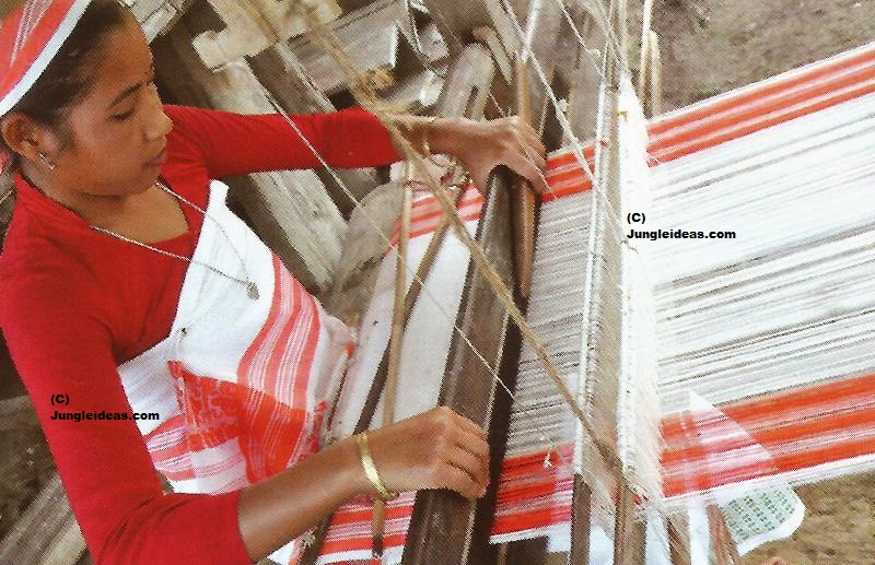 A Deori tribal lady weaving on a traditional loom at a local Deori ...