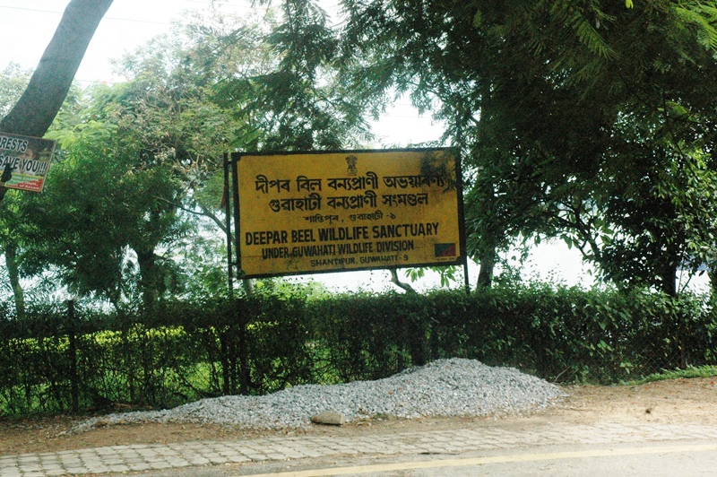 The Deepor Beel Wildlife Sanctuary in Assam ~ Chandubi ~ Assam ~ India ...