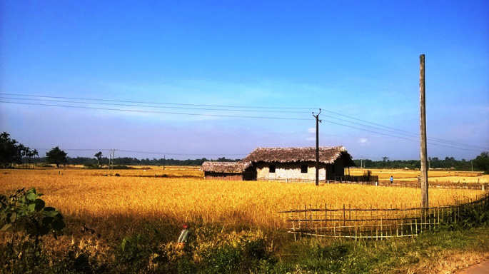 Singpho Eco Lodge – Margherita – Assam – Kaziranga National Park and ...