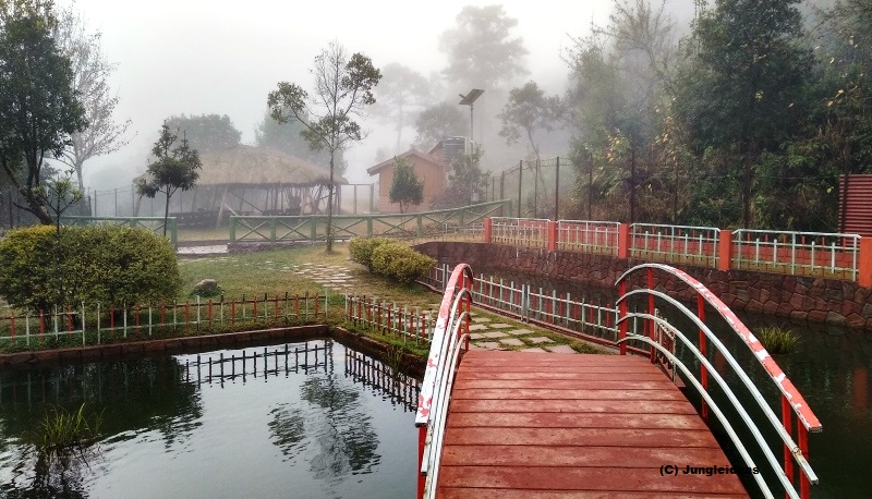 The fish pool at the Heaven’s Cove resort at Jowai in Meghalaya ...