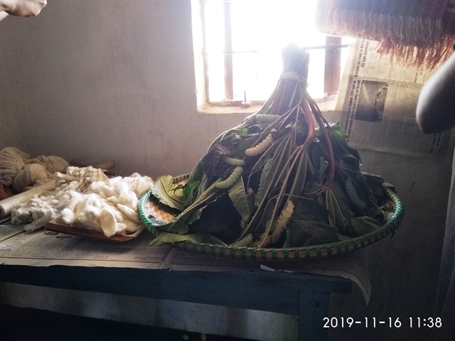 Handicrafts & Handlooms of Assam – Kaziranga National Park and Tiger ...