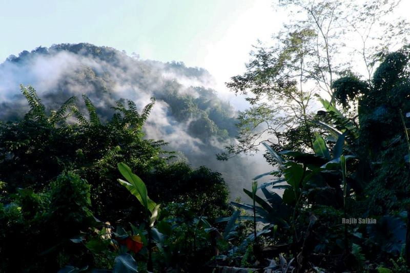 National Parks of Assam – Kaziranga National Park and Tiger Reserve ...