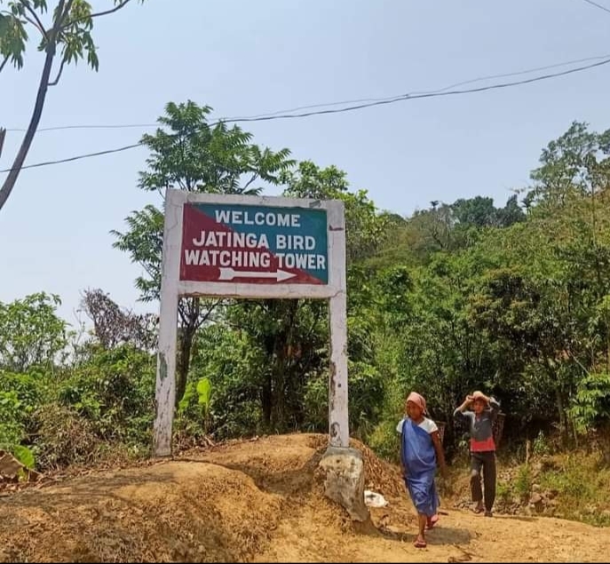 The Bermuda Triangle for Birds – Jatinga Valley, where Birds commit ...